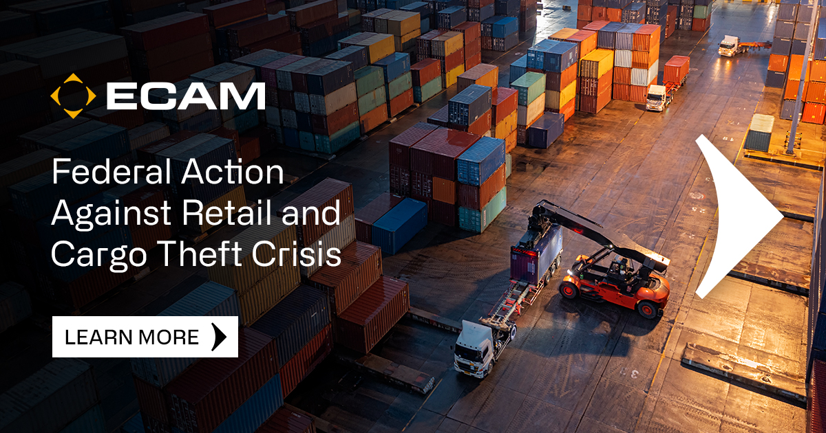 New Bill Takes Aim at Retail and Cargo Theft Crisis